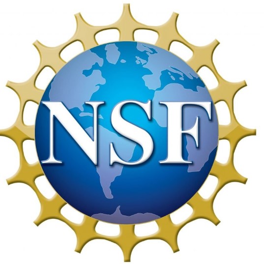 RET Teachers Present at NSF RET Virtual Poster Session - Center for ...