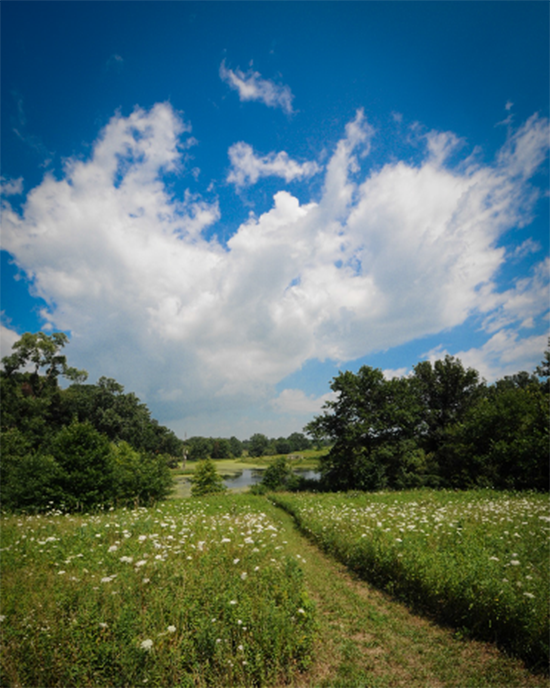 Explore Gabis - Gabis Arboretum - Purdue University Northwest