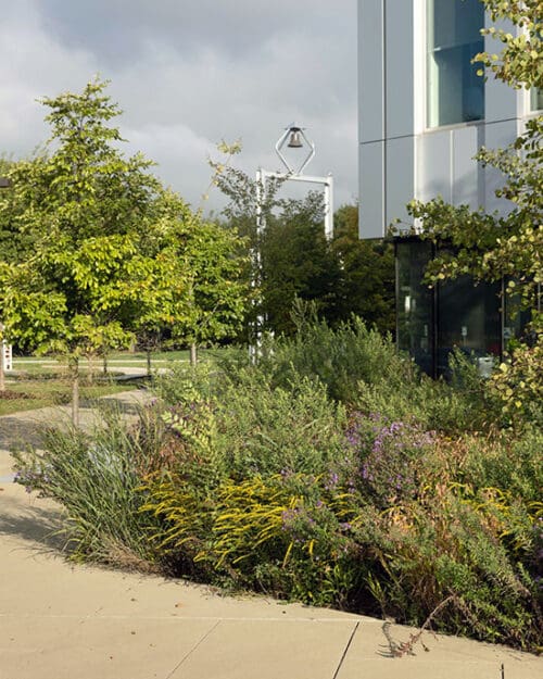 Employee Wellness - Human Resources - Purdue University Northwest