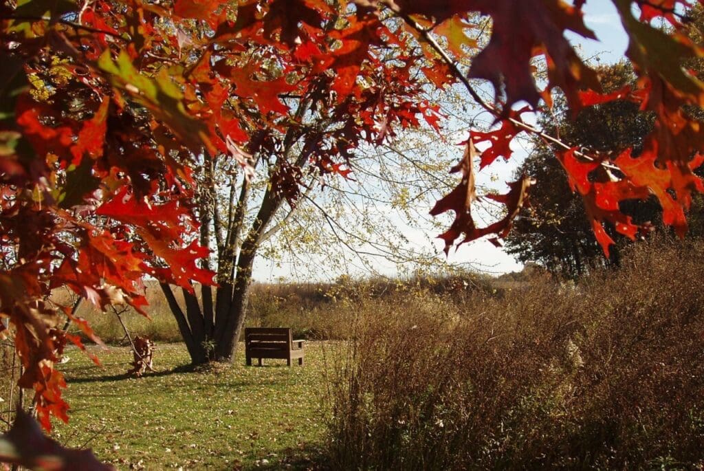 Fall Garden Prep Webinar - Purdue University Northwest