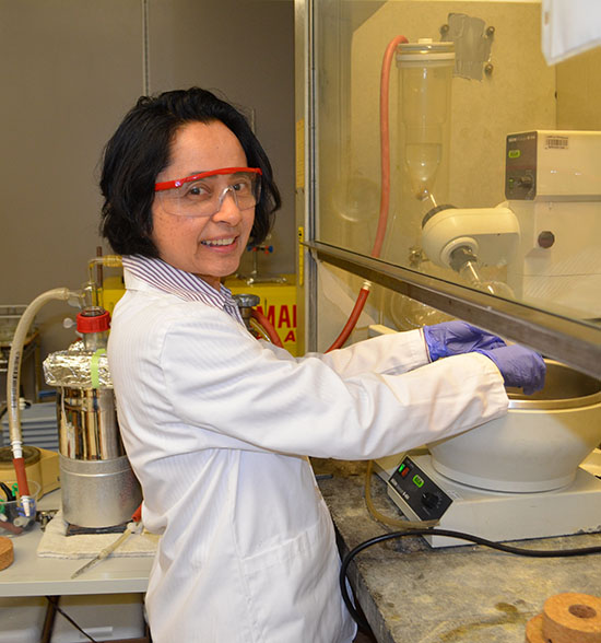 PNW chemistry professor earns Fulbright award - Purdue University Northwest