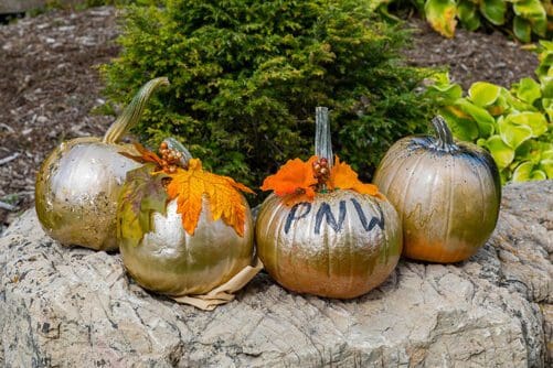 Pumpkin Carving and Painting: Westville Campus - Purdue University ...